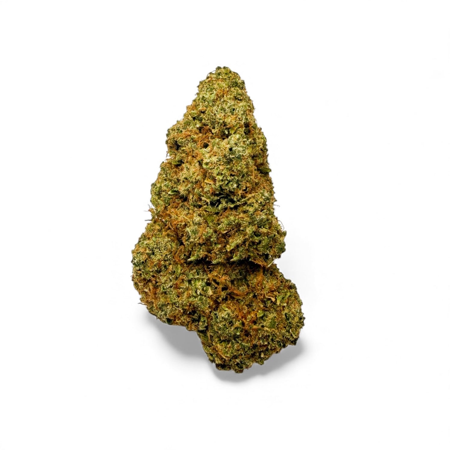 BLUE BISCOTTI